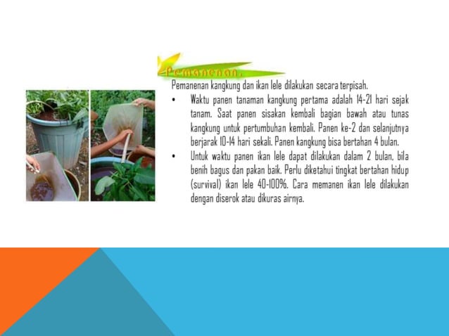 budikdamber_KADIS.pptx