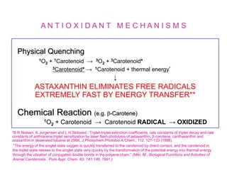 Xanthines by Budi Riyanto | PPSX