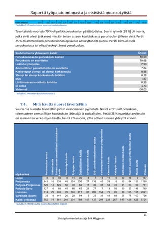 Raportti etsivästä työstä ja työpajatoiminnasta | PDF