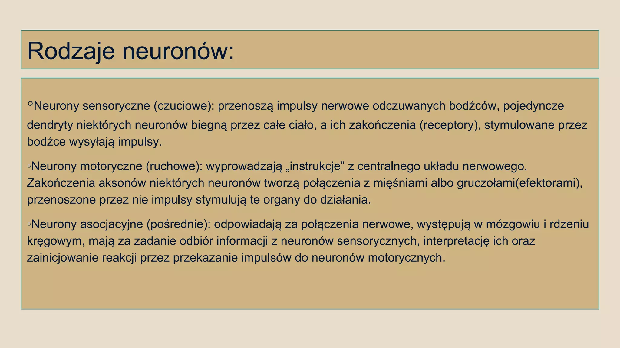 Budowa i funkcja neurnów | PDF
