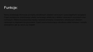 Budowa i funkcja neurnów | PDF