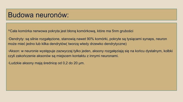 Budowa i funkcja neurnów | PDF