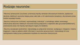 Budowa i funkcja neurnów | PDF