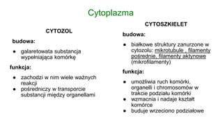 Budowa komórki | PPTX