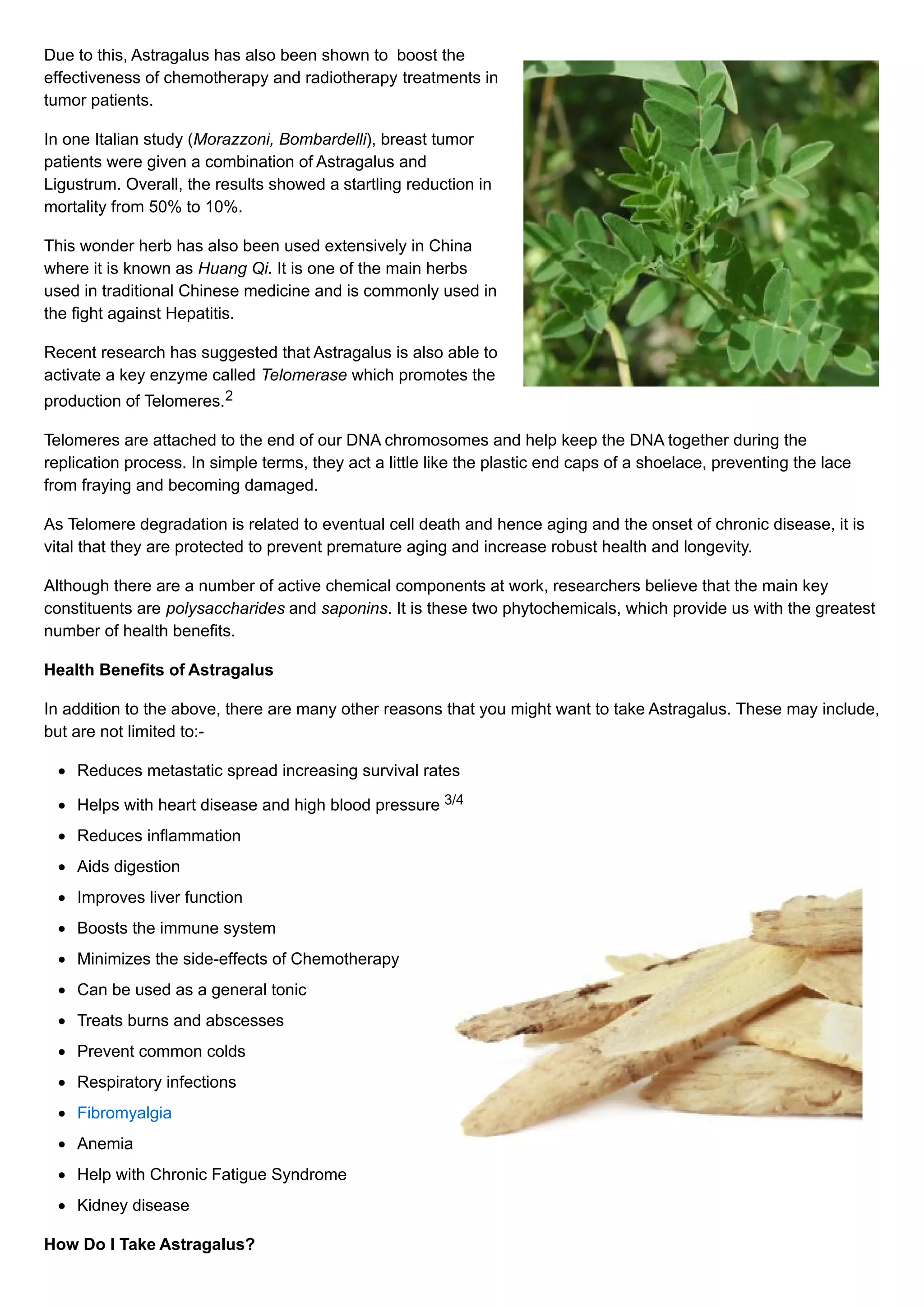 Astragalus – A Miracle Herb That Protects DNA And Fights Disease | PDF ...