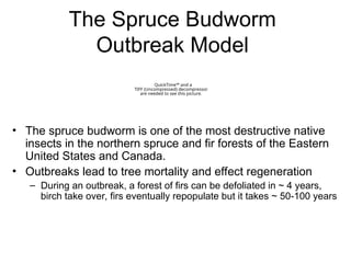 This ppt is about spruce budworm outbreak modeling. | PPT