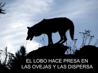 Buen Pastor | PPT