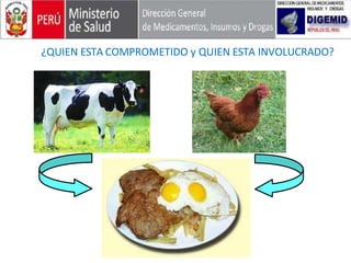 Buenas Practicas de Manufactura (BPM)-Aseguramiento de la calidad--QF ...