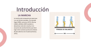 buen ciclo de marcha , canvas , fisioterapia y rehabilitación | DOCX