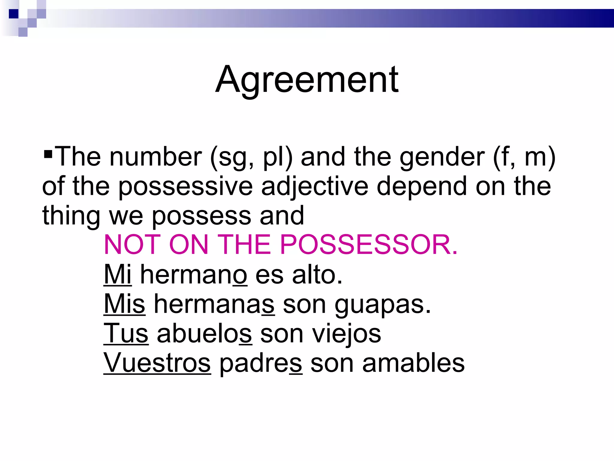 Los Adjetivos Posesivos | PPT