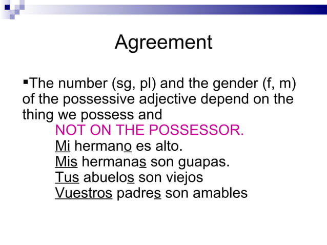 Los Adjetivos Posesivos | PPT