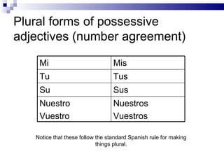 Los Adjetivos Posesivos | PPT