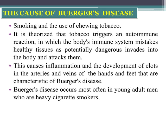 Buerger's disease ( Thromboangiitis obliterans) | PDF