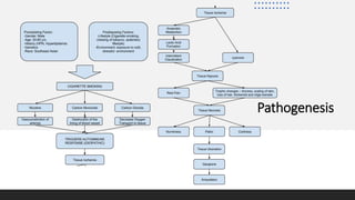 Buerger’s Disease (Thromboangiitis Obliterans) | PPTX