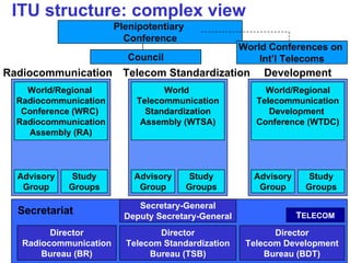 Bueti introduction | PDF
