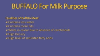Buffalo as triple purpose animal | PPTX