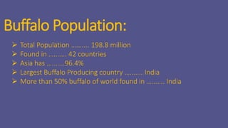 Buffalo as triple purpose animal | PPT