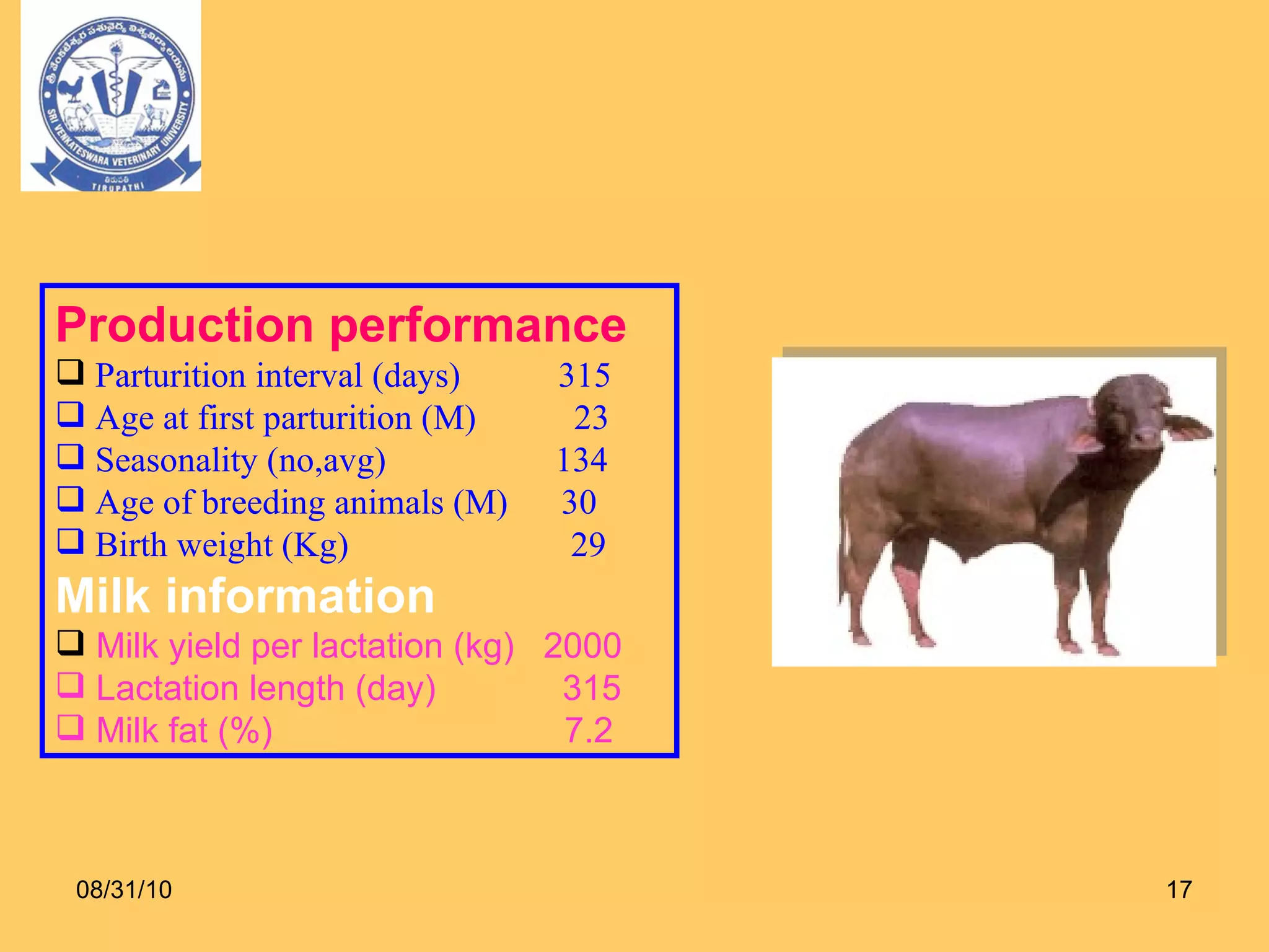 Buffalo breeds 1 | PPT