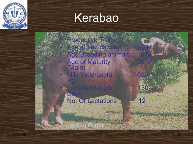 Buffalo breeds 1 | PPT