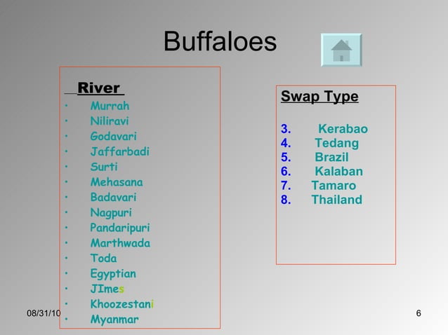 Buffalo breeds 1 | PPT