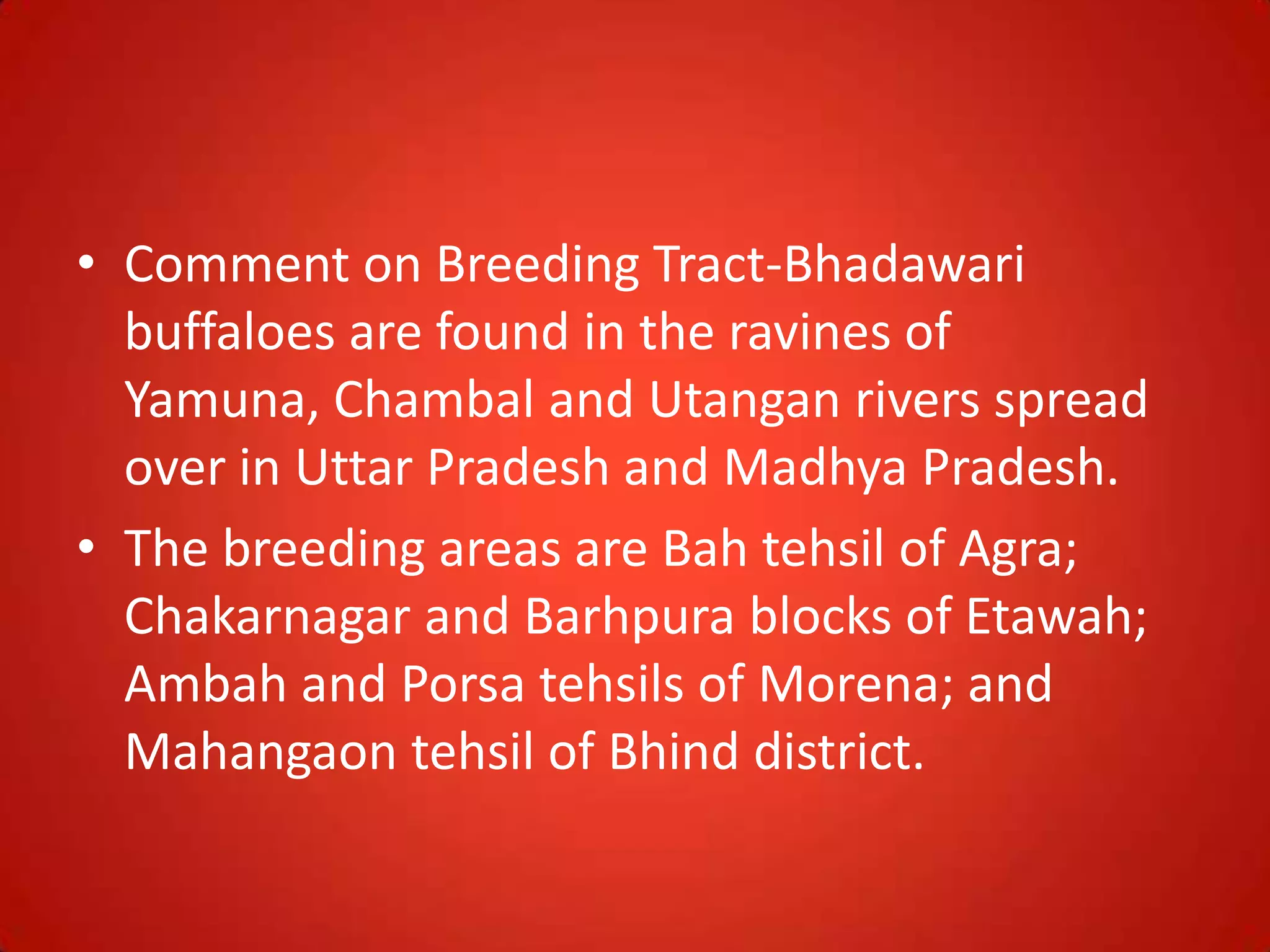 Buffalo breeds of india | PPTX