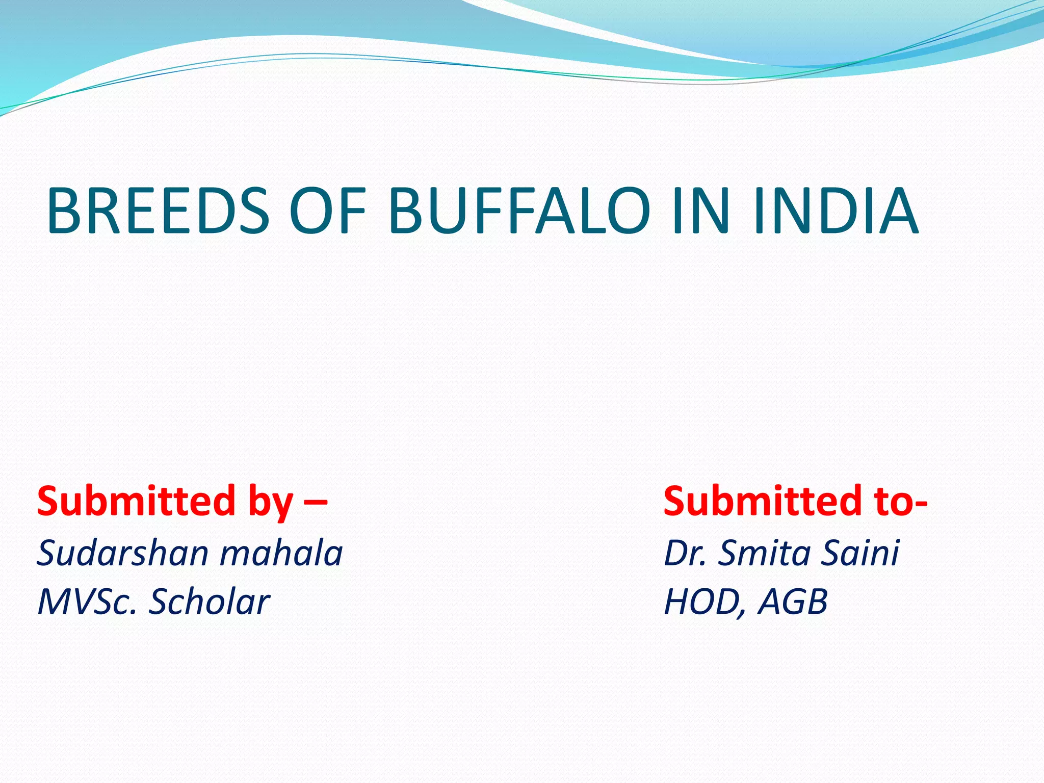 Buffalo breeds in india by sudarshan mahala | PPTX
