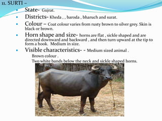 Buffalo breeds in india by sudarshan mahala | PPTX