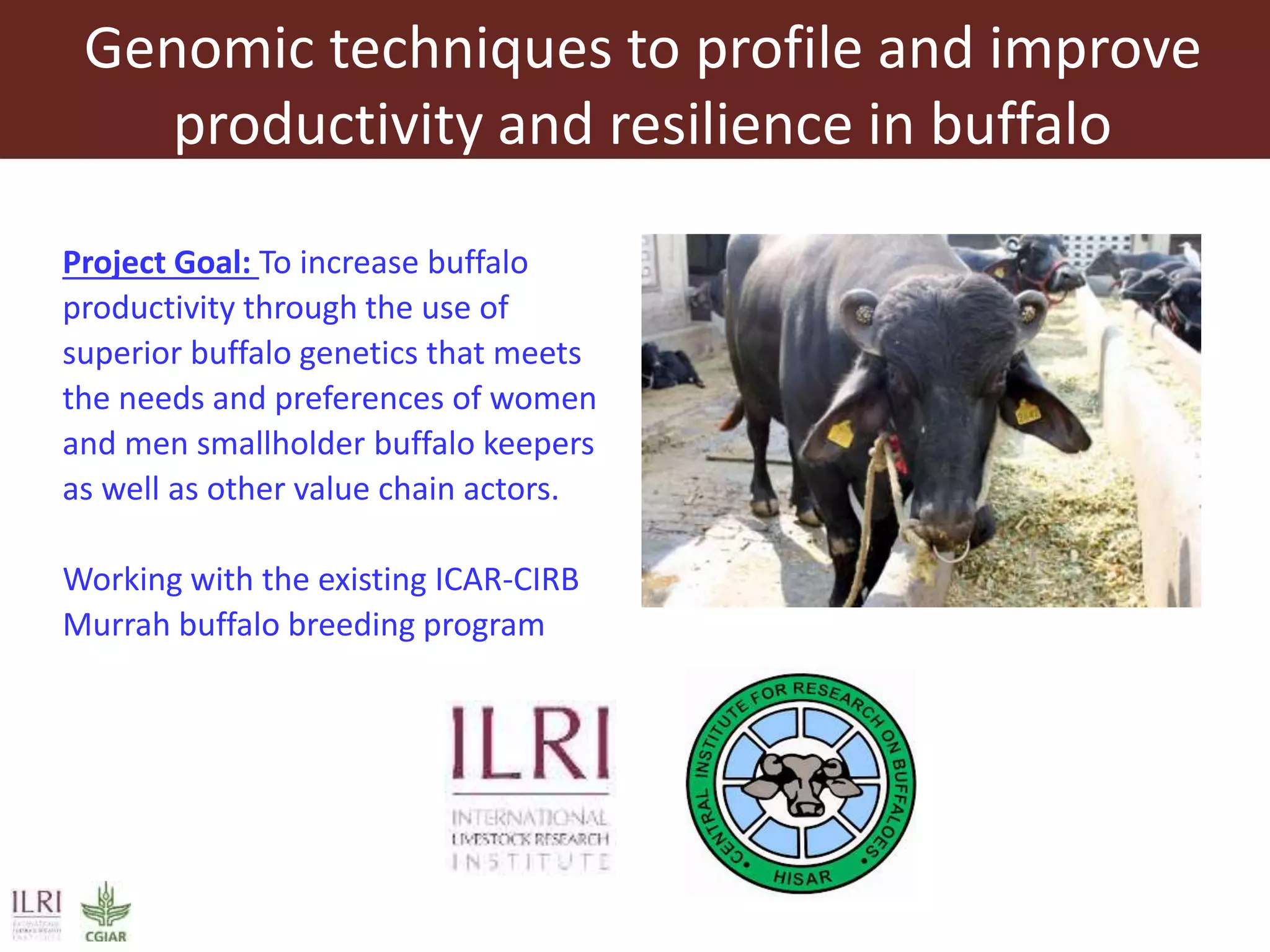 Genomic techniques to profile and improve productivity and resilience in buffalo | PPTX