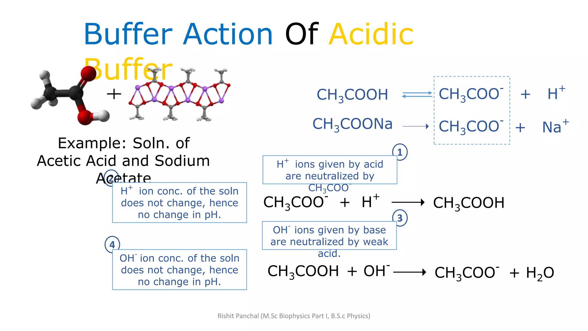 Buffer action and buffer capacity | PPTX