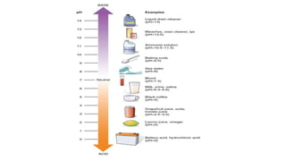 Buffer Buffer Equations Pptx