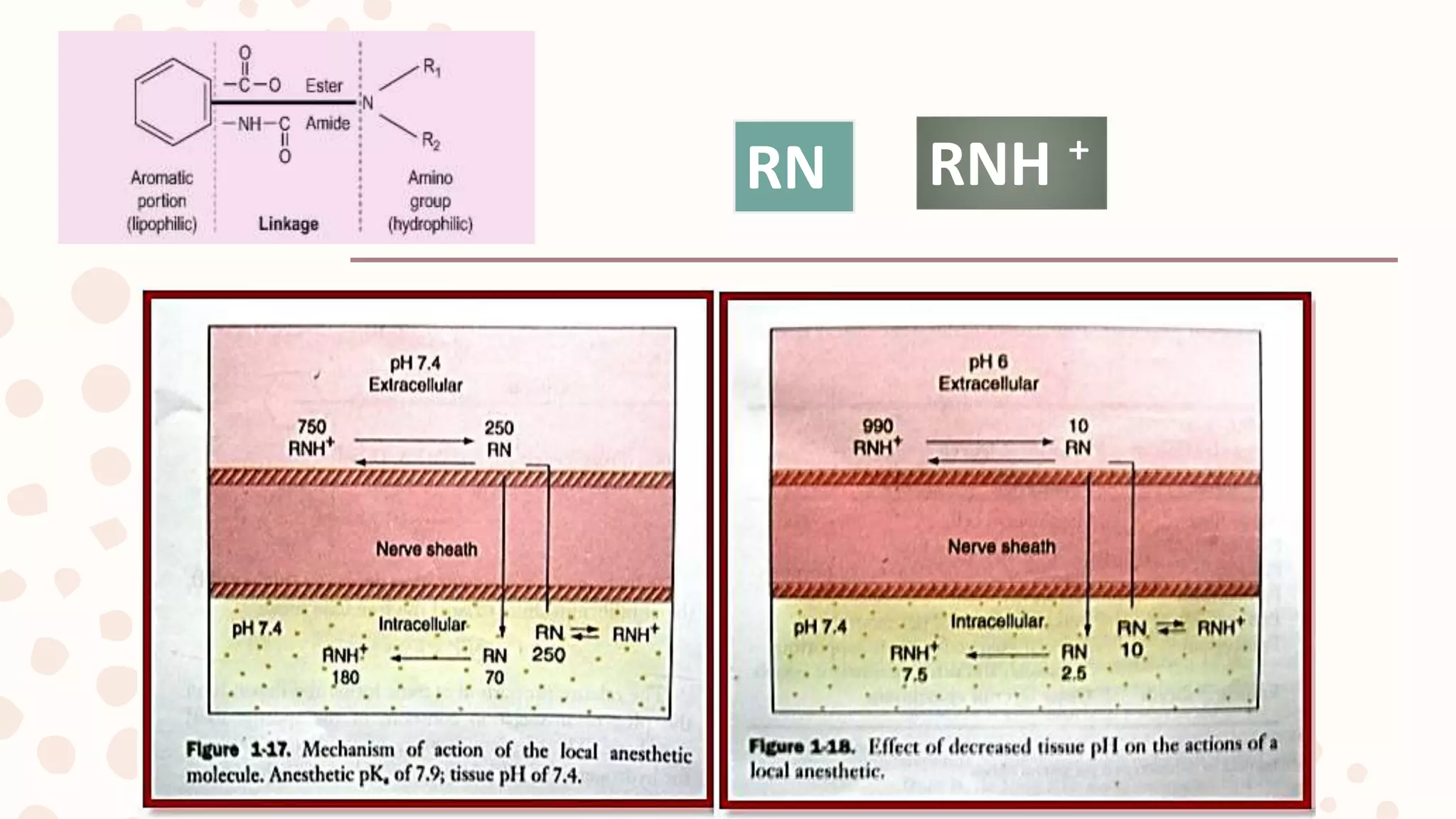 Buffered anesthetics | PPTX