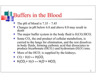 Renal Buffer System