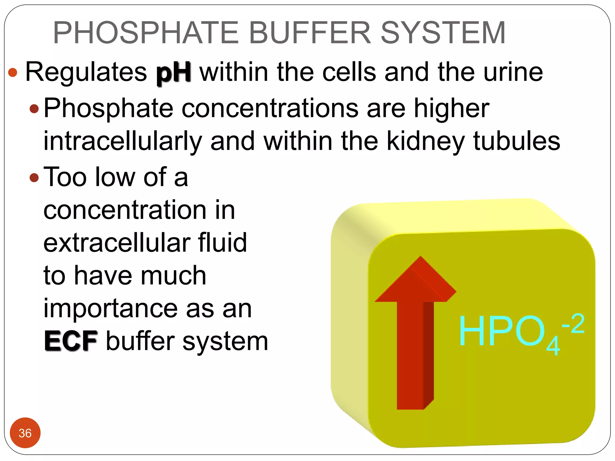 Buffers in the body | PPTX