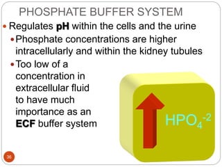 Buffers in the body | PPTX