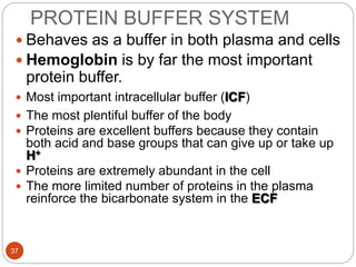 Buffers in the body | PPTX