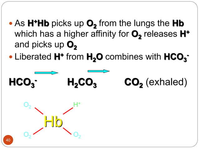 Buffers in the body | PPTX | Lung and Respiratory Health | Diseases and ...