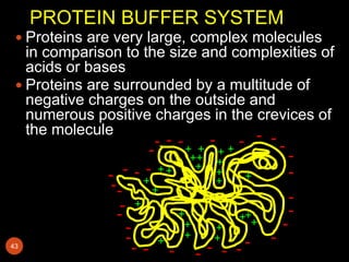 Buffers in the body | PPTX