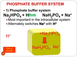 Phosphate Buffer System Equation