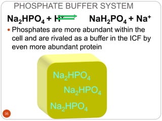 Phosphate Buffer System Equation