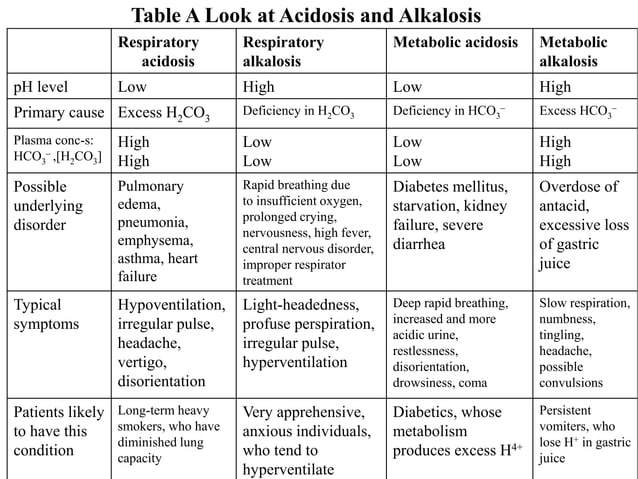 Everything you need to know about Bufffers | PPT