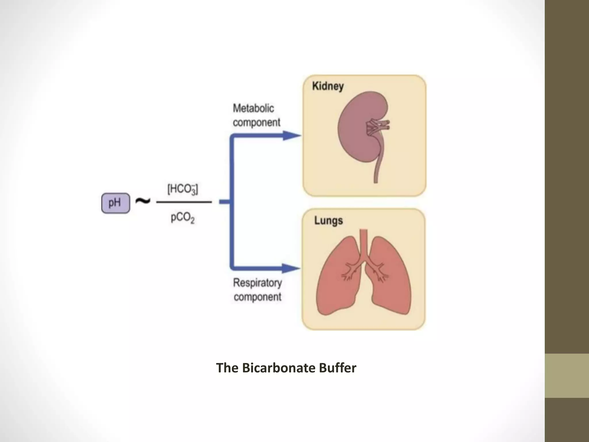 Buffers in biological systems | PPTX