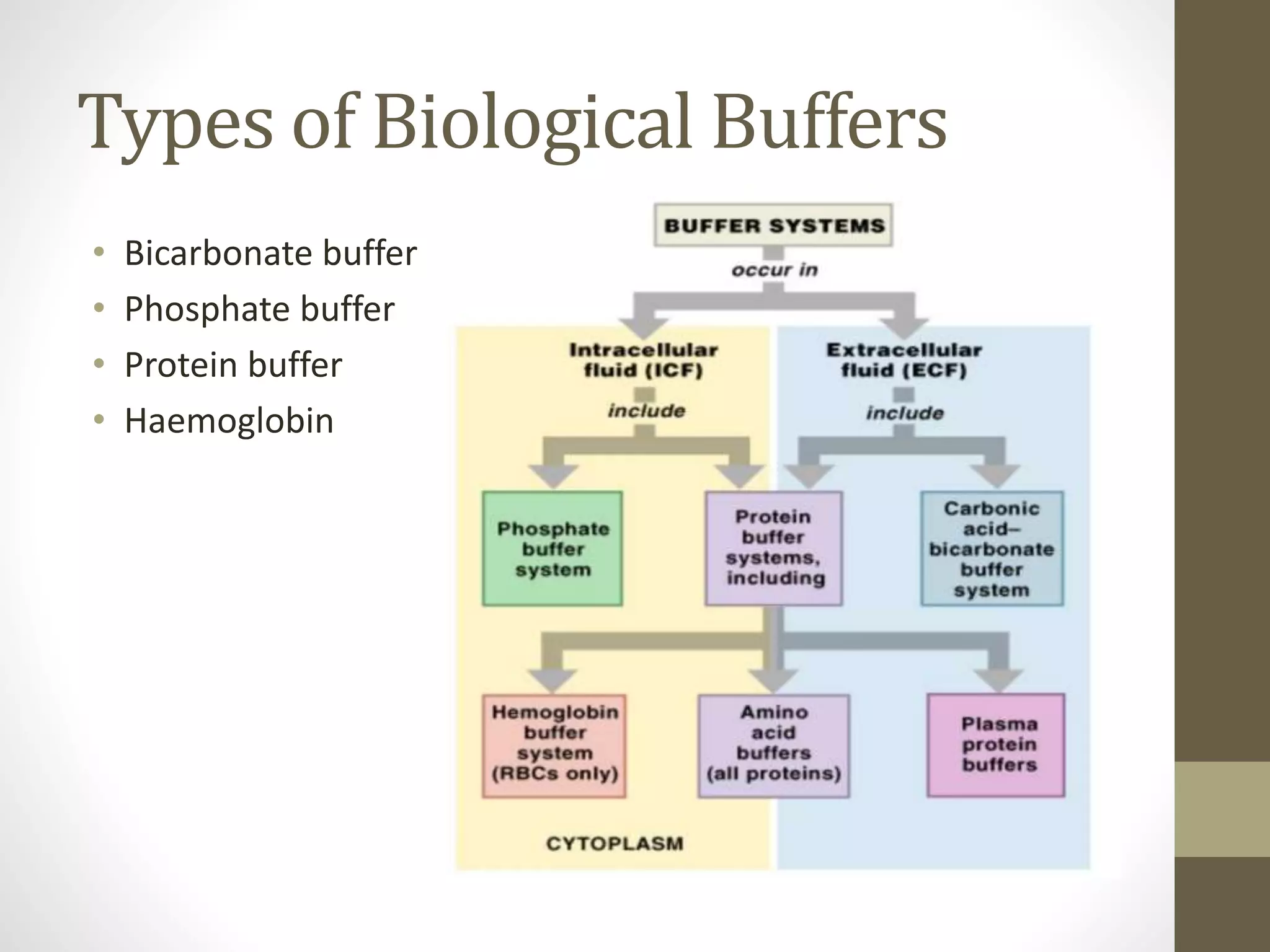 Buffers in biological systems | PPTX