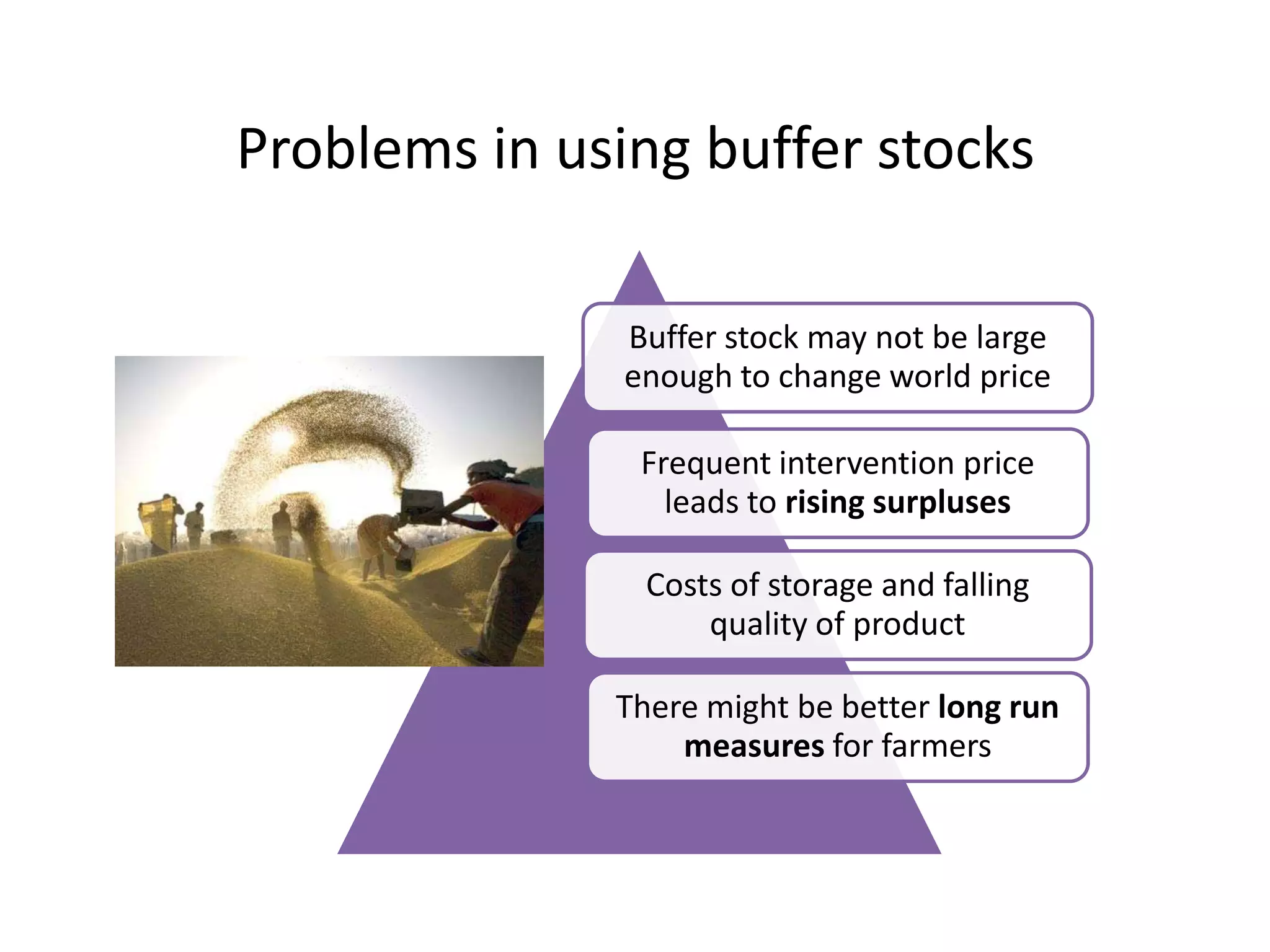 Buffer Stocks Unit 1 Micro | PPTX