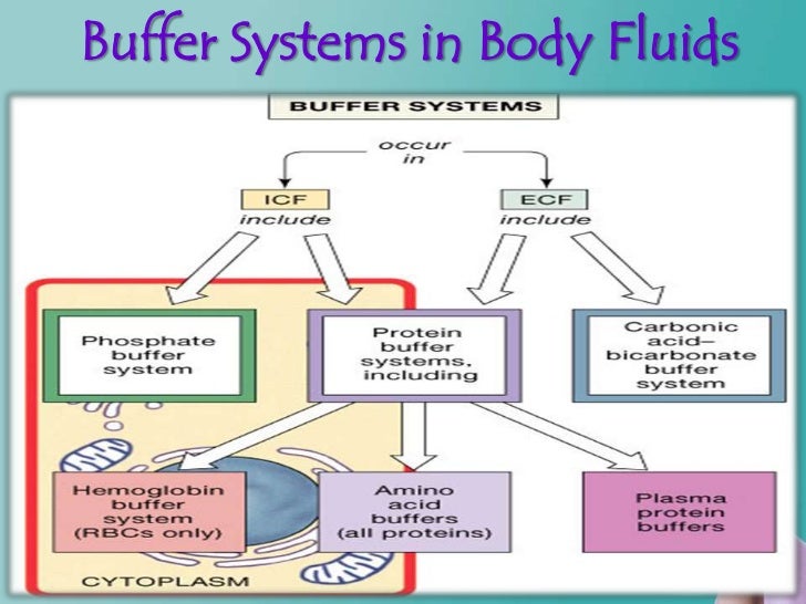 Buffer System Buffer System