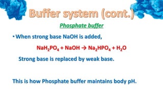Buffer system.pptx jawad mohammod jahangir | PPT