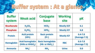Buffer system.pptx jawad mohammod jahangir | PPT