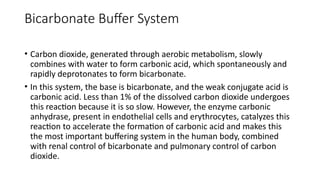BUFFER SYSTEM mechanism and renal system anesthesia | PPTX