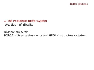 Buffer system for bph | PPTX | Blood Disorders | Diseases and Conditions