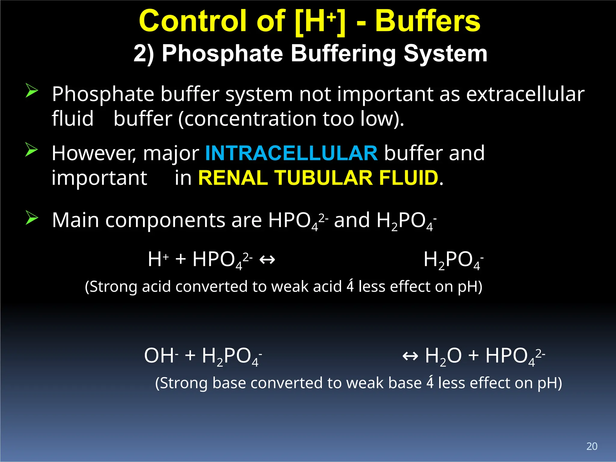 Buffer Systems definition, mechanism of action and importance in ...