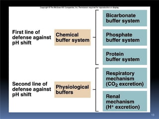 Buffer Systems definition, mechanism of action and importance in ...
